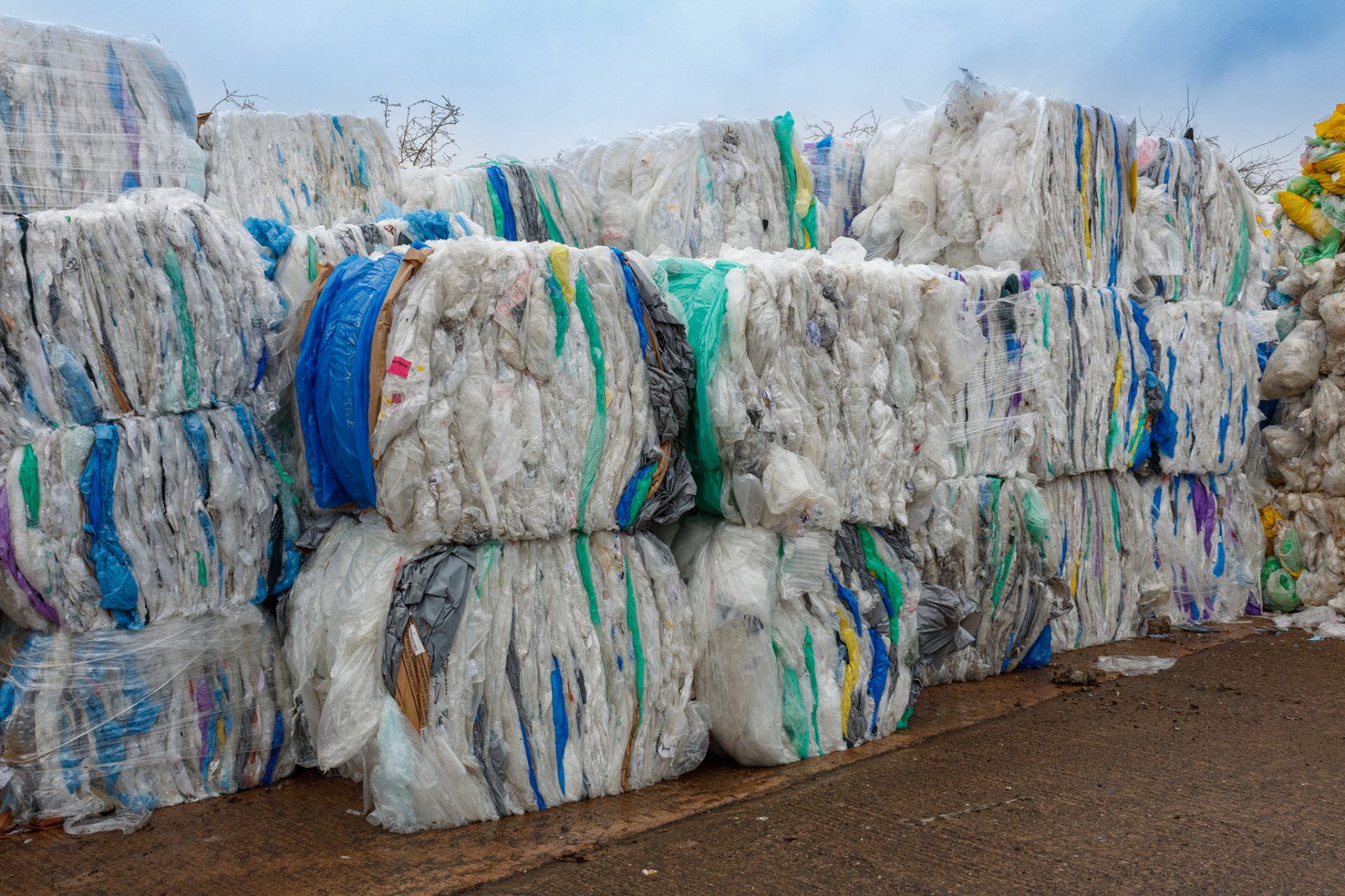 What are the new rules for recycling? | Recycling Lives Services